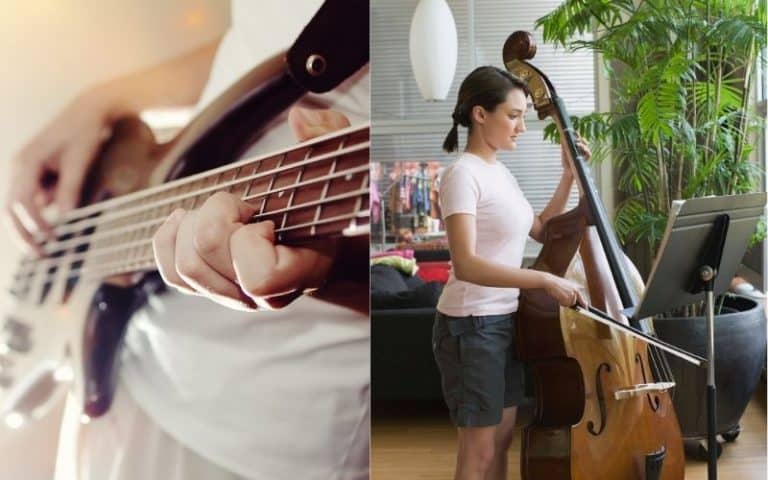 What’s the Difference Between a Bass and a Double Bass – Traveling ...