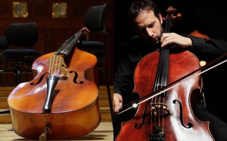 What’s the Difference Between a Bass and a Double Bass – Traveling ...