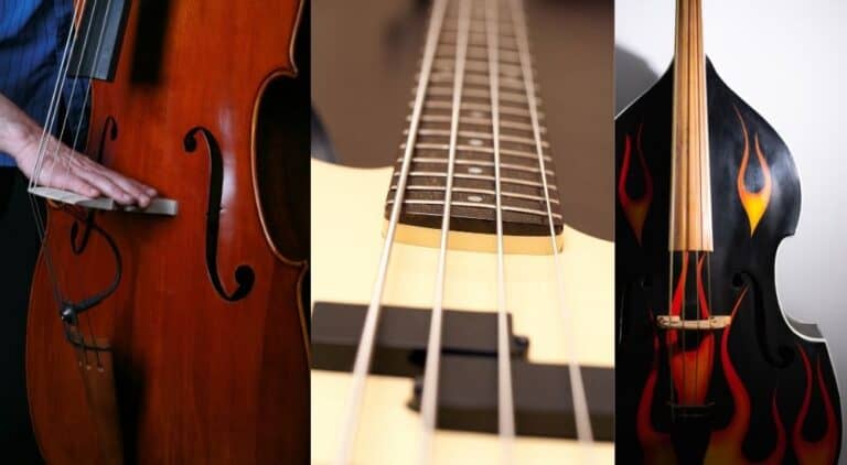Why is Bass Important In Music? [ANSWERED] – Traveling Guitarist