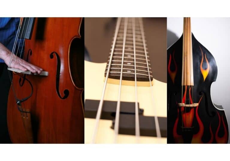 Why Is Bass Important In Music ANSWERED Traveling Guitarist