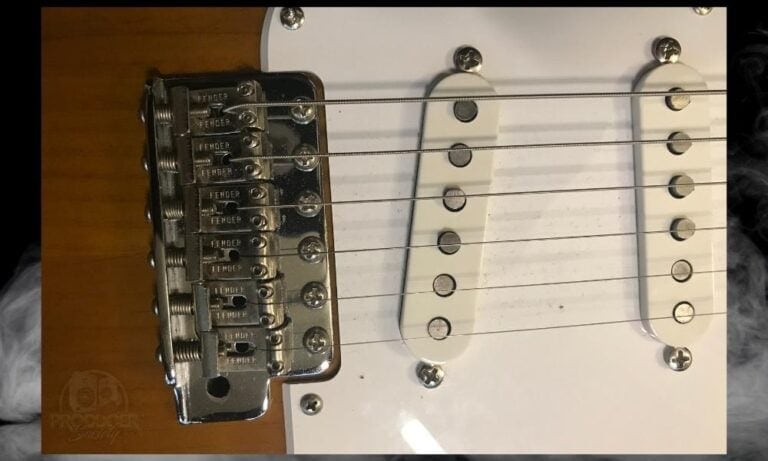 What’s the Difference Between A Whammy and Tremolo Bar? – Traveling ...